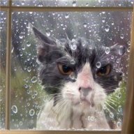 Relt switch | Information by Electrical Professionals for Electrical ...