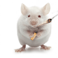 480 vs. 208 volt service | Information by Electrical Professionals for ...